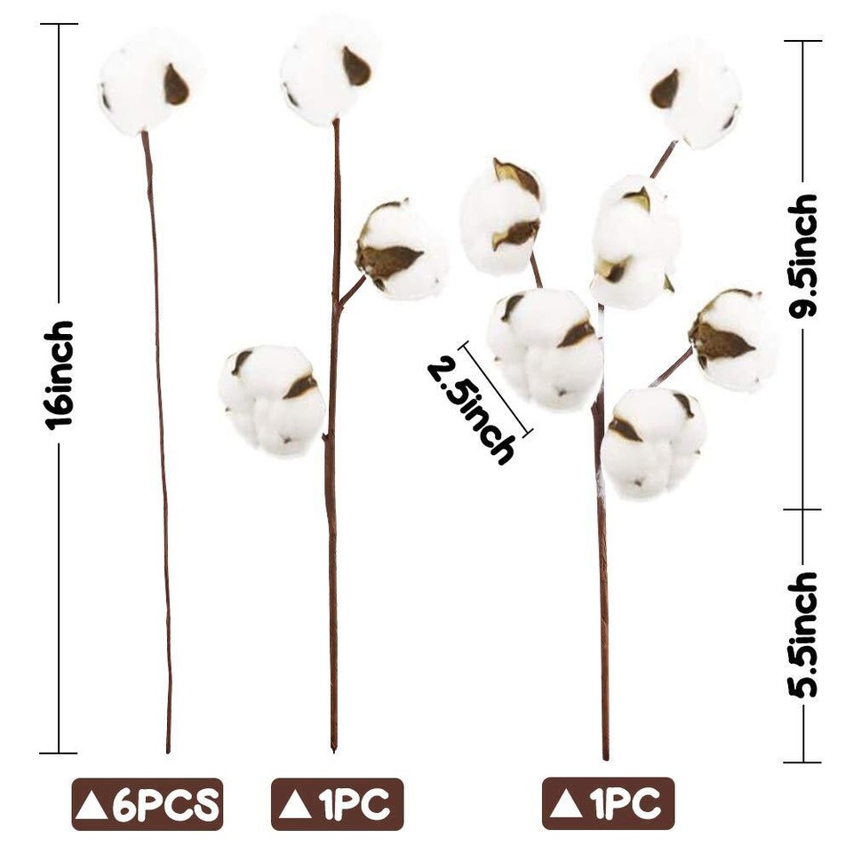 Cotton Stems, Natural Dried Cotton 8 Packs Total 15 Bolls Cotton Sprigs ...