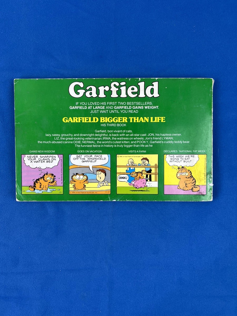 Garfield Face Down Bed