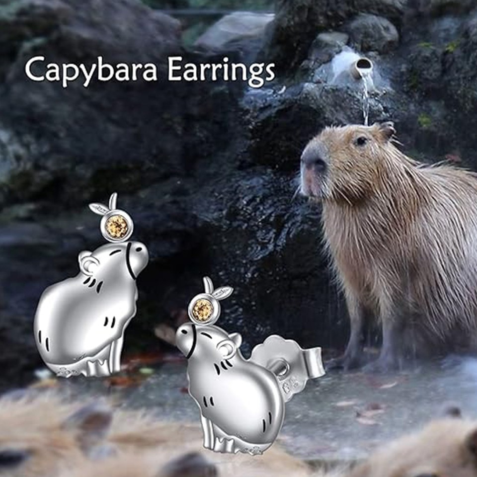 Capybara Stud Earrings Cute Funny Earrings Cute Animal Fruit Earrings ...