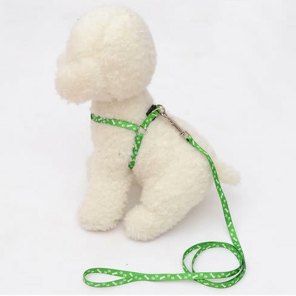 Extra Small Toy Dog Lead & Harness Set 27-39cm 120cm Traction Rope ...