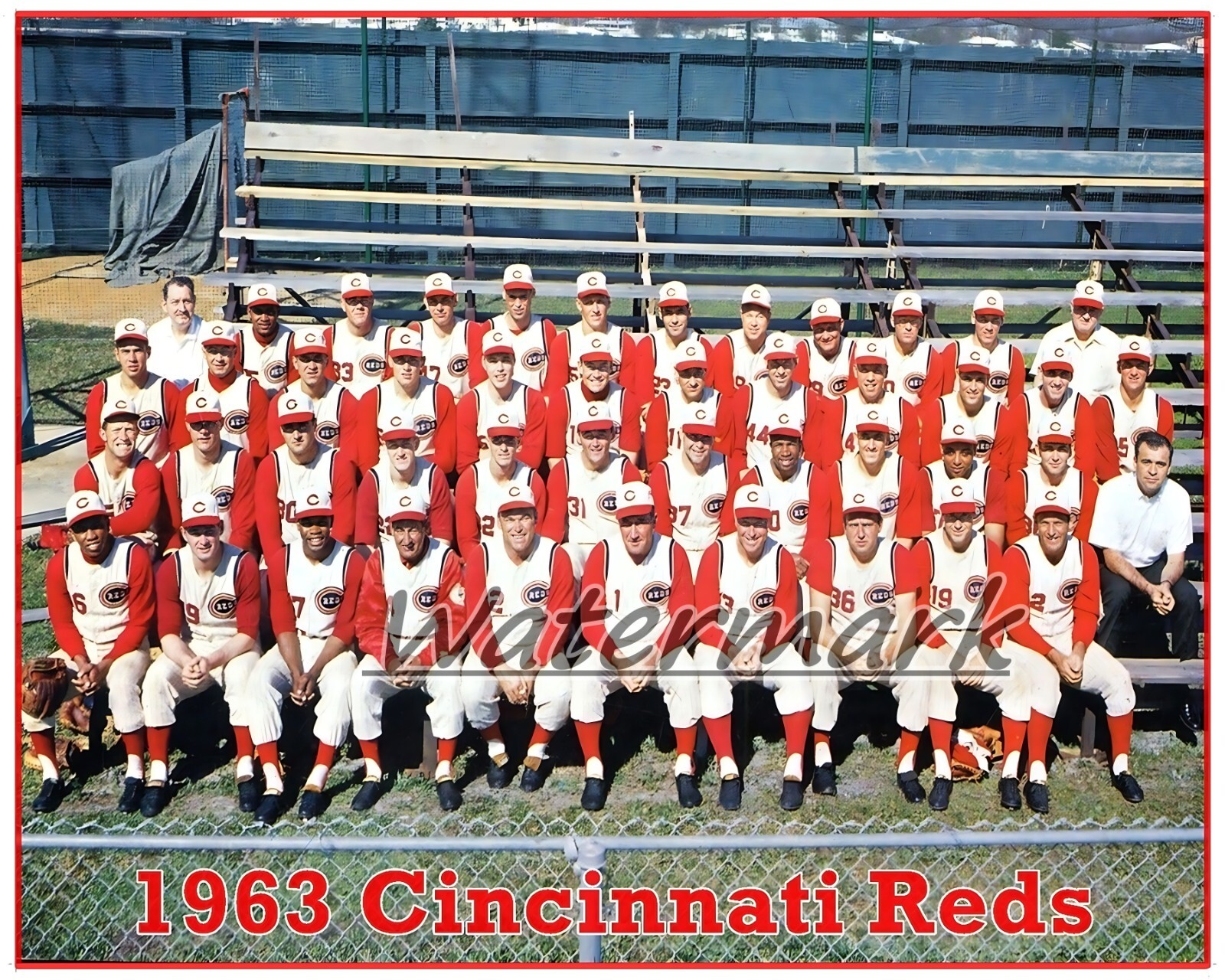 MLB 1963 Cincinnati Reds Color Team Picture 8 X 10 Photo Picture | eBay