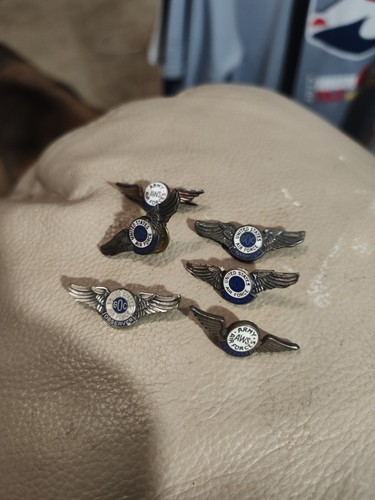 U.S. Air Force WW2 Ground /Aircraft Observer Corps Pins (6) | eBay
