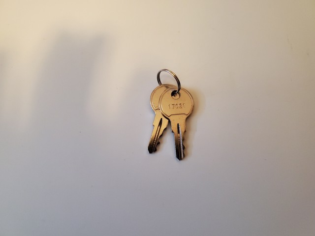 NOTIFIER 17021 Key and Cam Lock From Afp100 Fire Alarm Panel for sale ...