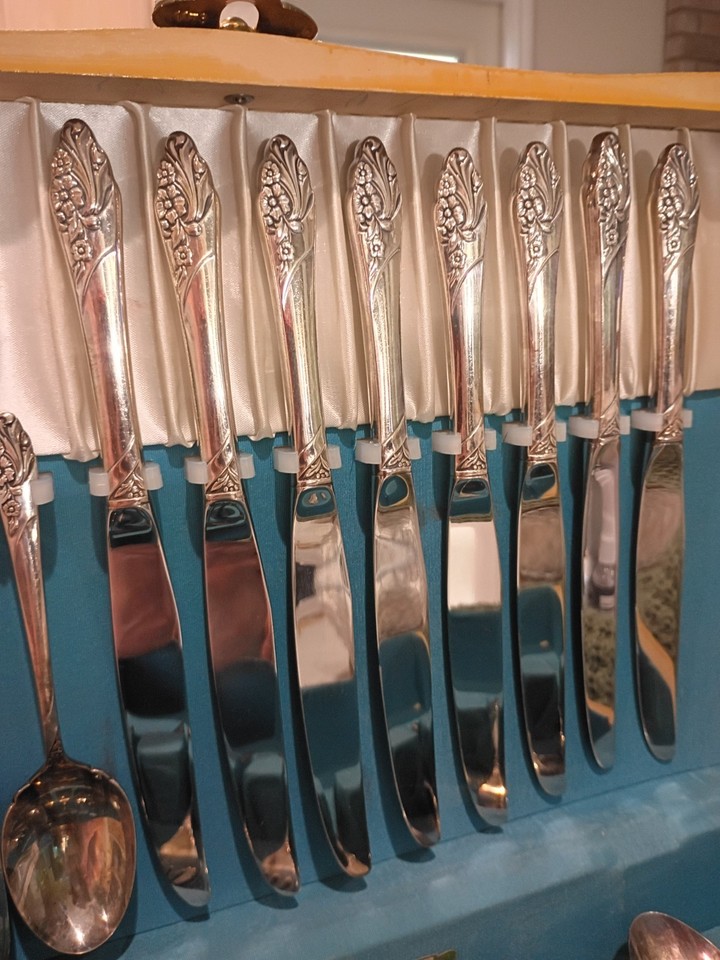 Oneida Community Silverplate Flatware SILVER w/ Box 47 Piece Set ...