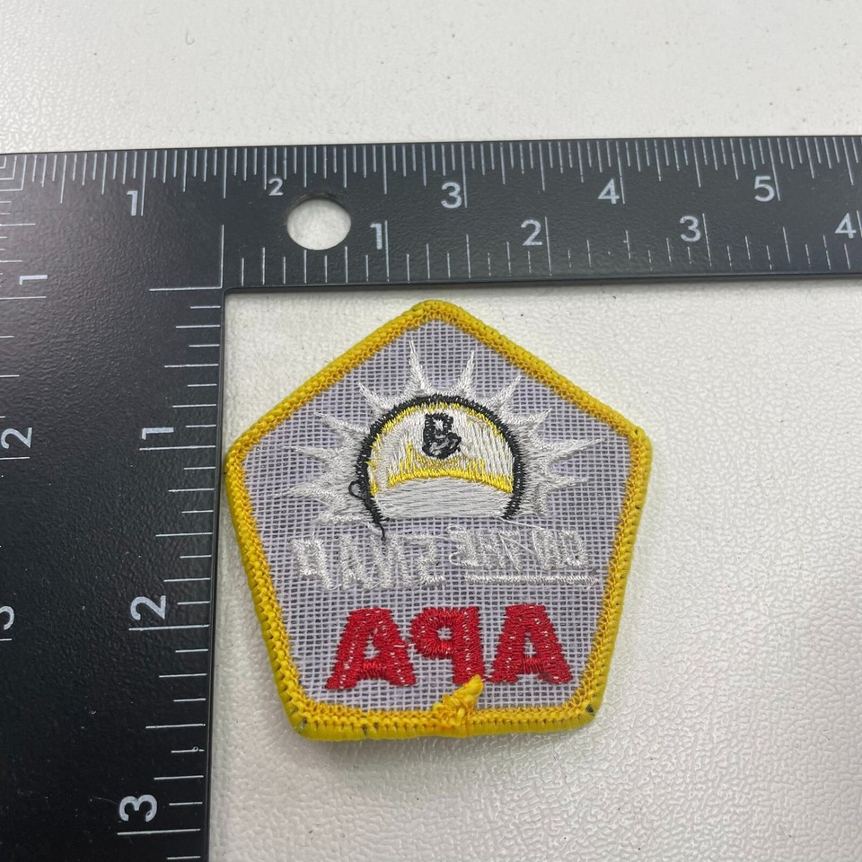 9-BALL ON THE SNAP Pool Shooting Patch Patch American Poolplayers Assn. 81D2 | eBay