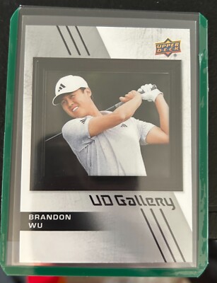 2024 Upper Deck Golf, BRANDON WU, UD GALLERY, #UD-28 | eBay