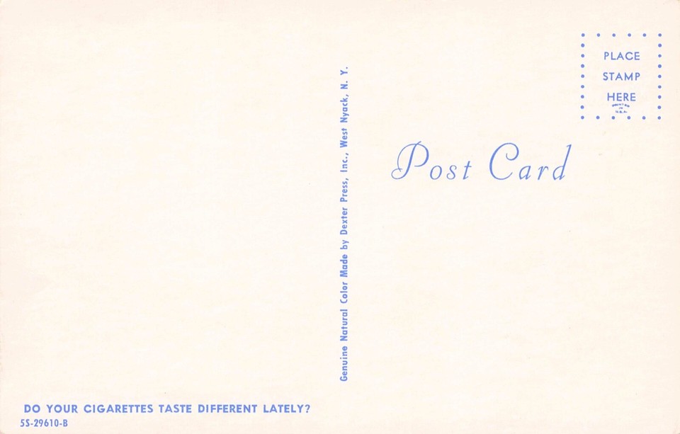 Do Your Cigarettes Taste Different Lately? Humor Post Card | eBay