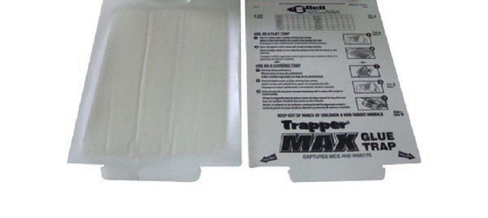 Trapper Max Mouse Glue Traps ( 72 Pack ) Glue Boards Trapper Max Mouse ...