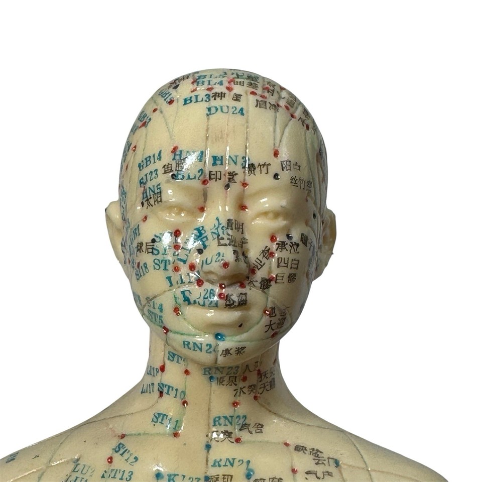 Acupuncture 18" Female Model Doll Human Body Chinese Medicine Teaching ...