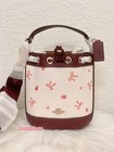 Coach Dempsey Drawstring Bucket Bag 15 With Bow Print In Chalk Wine NWT ...
