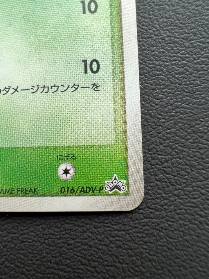 Treecko 016/ADV-P Black Star Promo Holo pokemon card japanese Nintendo ...