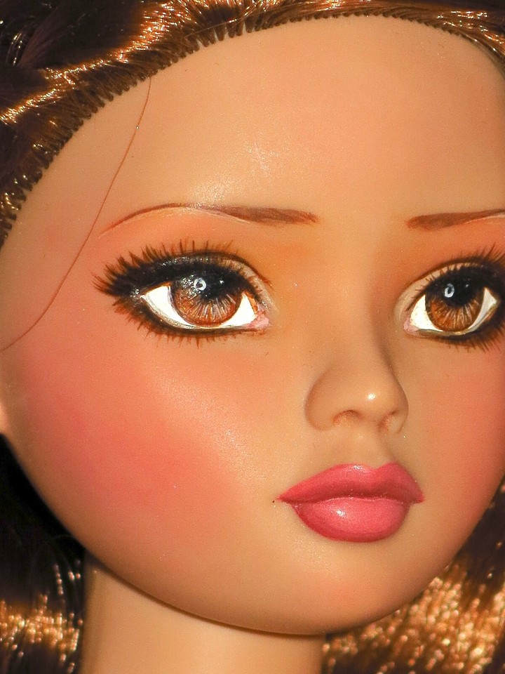 Tonner - Ellowyne Wilde 16" Fashion Doll - Repaint | eBay