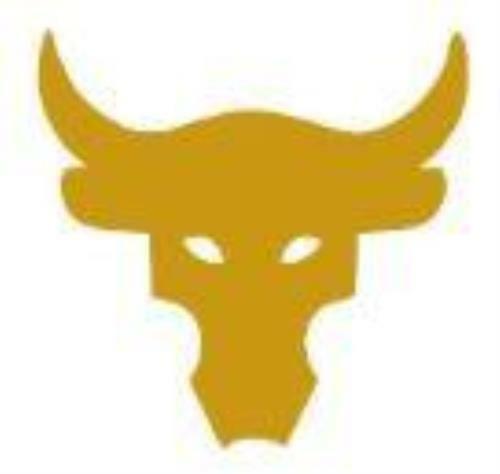 Project Rock Bull -Decal Logo Sticker | eBay