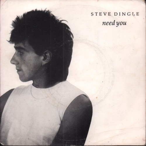 Steve Dingle Need You 7" vinyl UK Dangerous pic sleeve DRCS200 | eBay