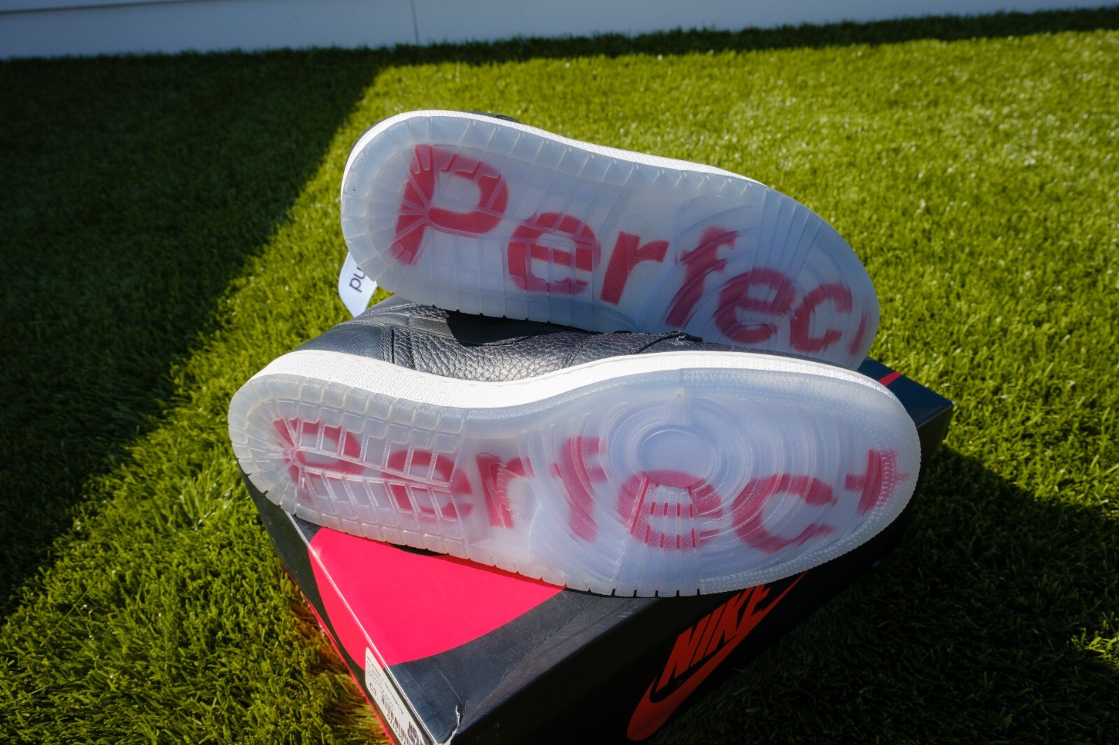 Size 9.5 - Only 230 Pairs! TEDx PDX Portland Air Jordan 1 Retro Perfect ...