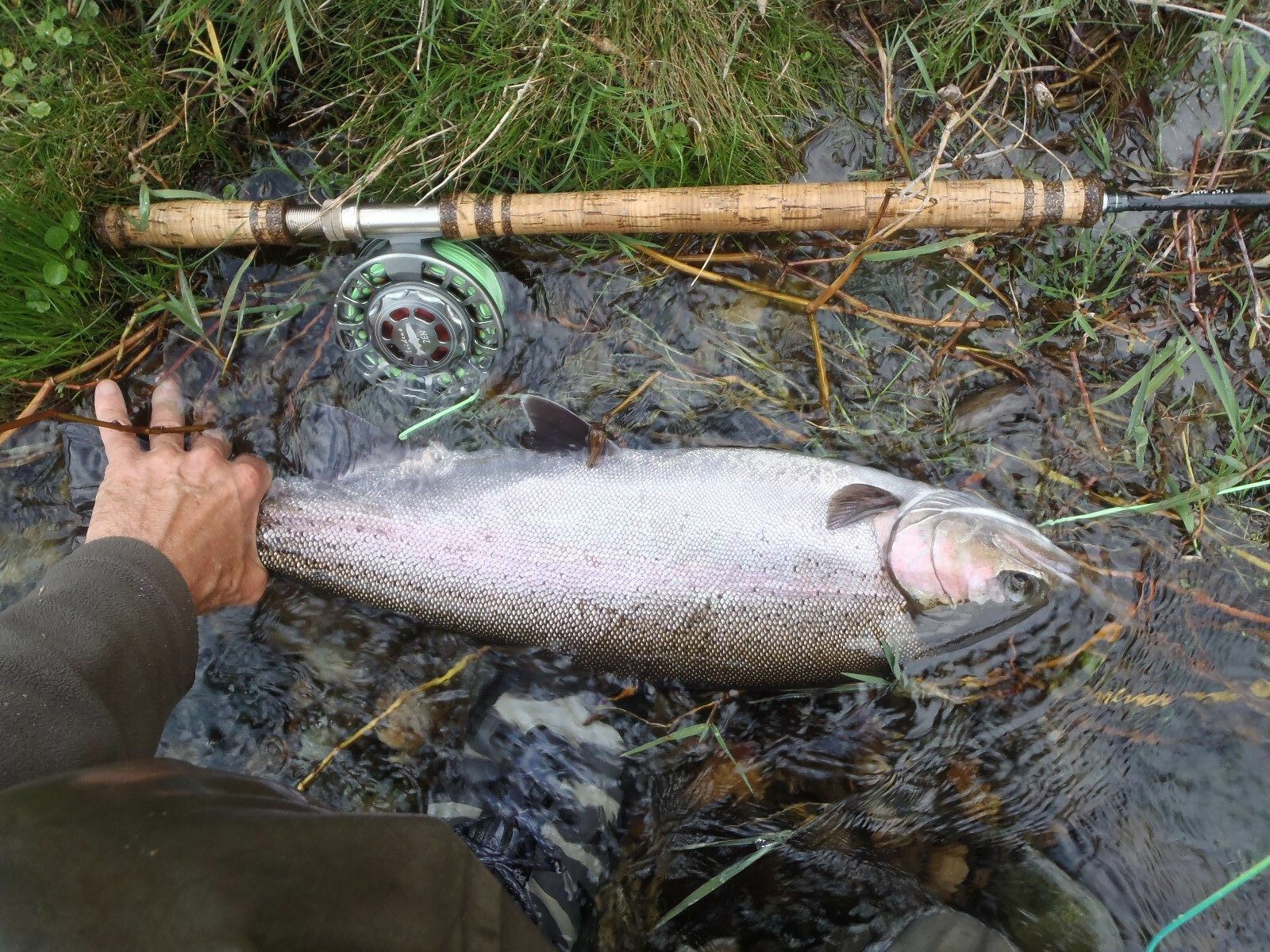 Irideus Dragon Hellgrammite Nymph Flies Dobson Fly Fishing Flies Trout ...