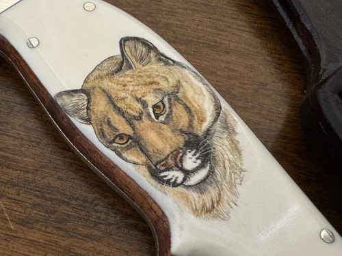 A.C. Warren Custom Fixed Blade Knife Hunter Nice Puma Scrimshaw By ...