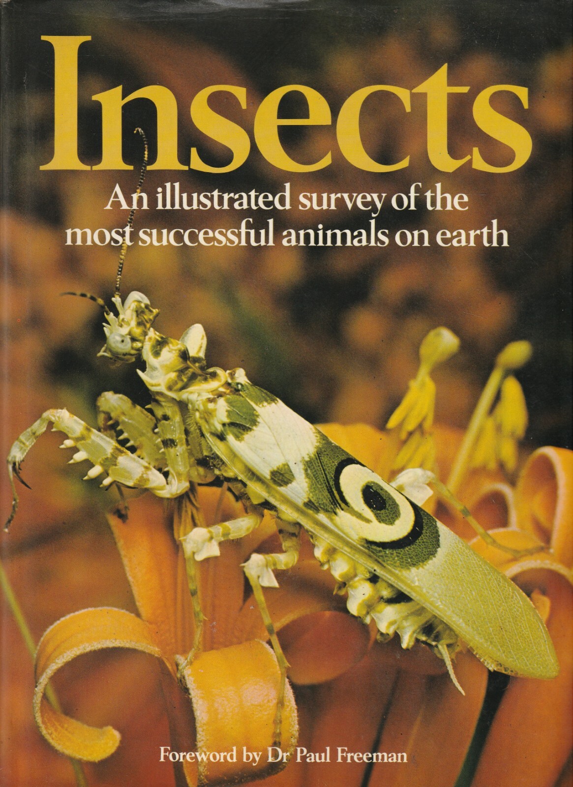 NATURAL HISTORY , INSECTS , SURVEY of MOST SUCCESSFUL ANIMALS ON EARTH ...