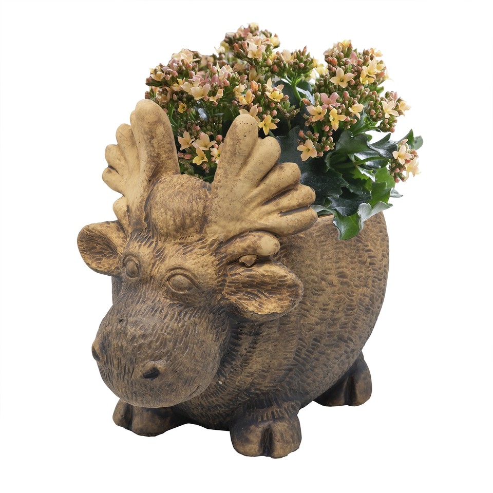 Classic Home and Garden Indoor Outdoor Cement Moose Planter, Brown, 7 ...