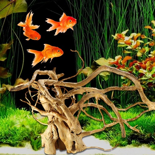 Fish tank Aquarium Driftwood Plant Wood Tree Root Reptile Wood Branches ...