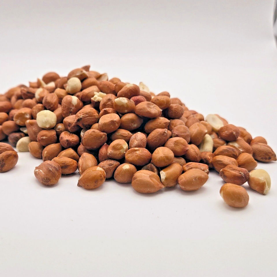 25Kg Jumbo Peanuts Pale Skin Premium Nutritious Lovely Wild Bird Food ...