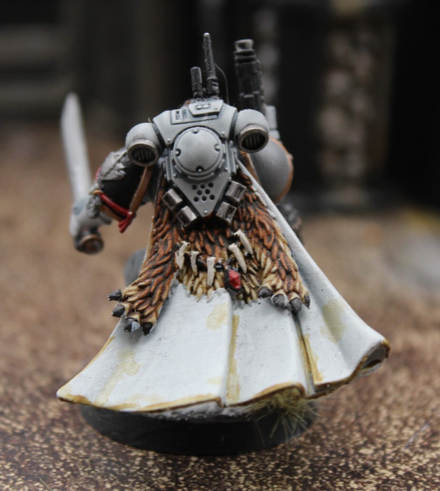 Space Wolves 5x Infiltrators, Well Painted, ID#2674 | eBay