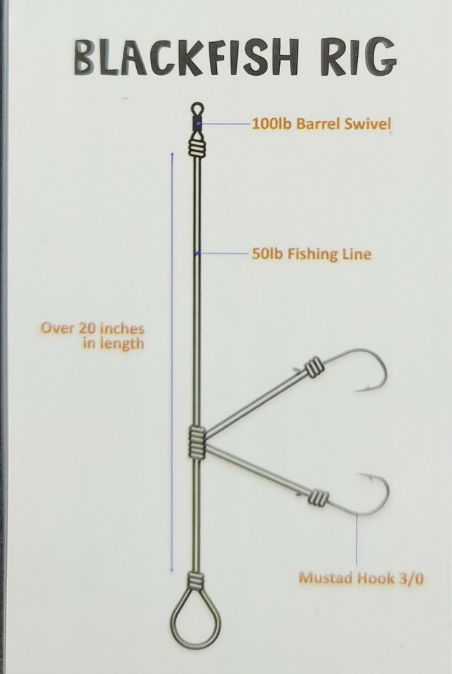 Blackfish Tog Tautog SALTWATER FISH RIG MUSTAD 3/0 HOOK 50lb MONO 2 ...