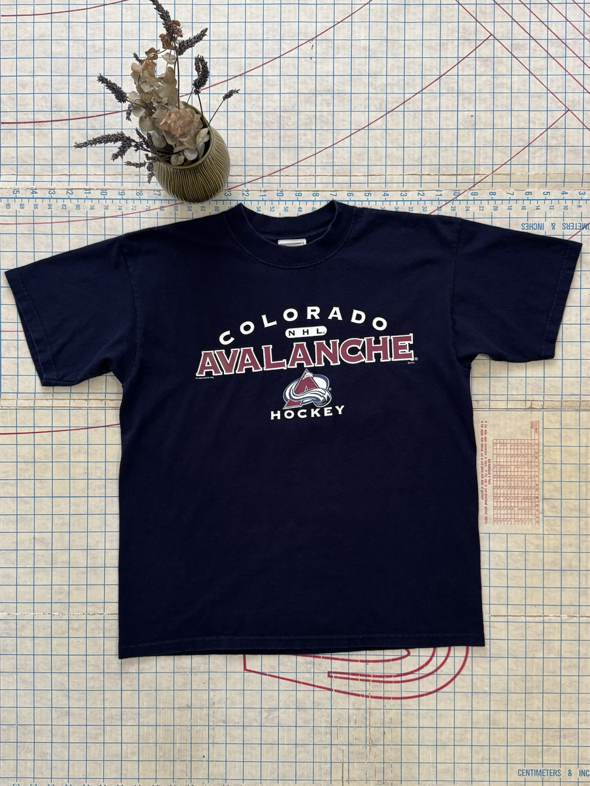 Vintage Colorado Avalanche T-Shirt Lee Sport Tag Fits… - Gem