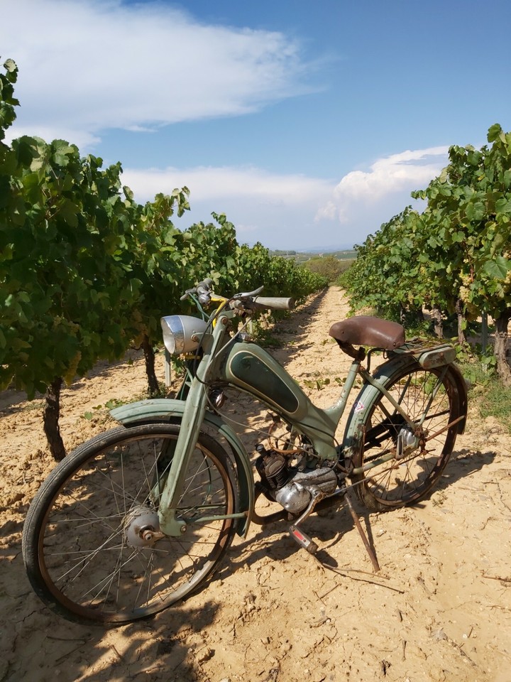 Ossa 50 A 1956 moped 1st model | eBay