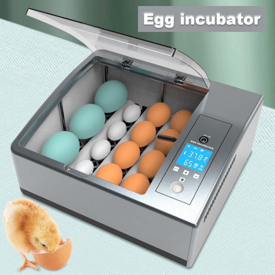 Egg Incubator Chicken Quail Hatcher Automatic Incubators for Hatching ...