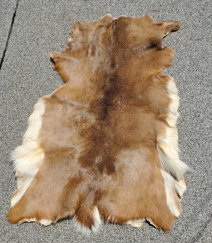 Frank Shortey Deer Hide Robe Painting Native American Little BIg Horn ...