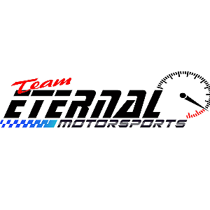 Team Eternal Motorsports | eBay Stores