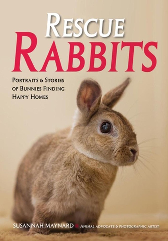 Rescue Rabbits: Portraits & Stories of Bunnies Finding Happy Homes by ...