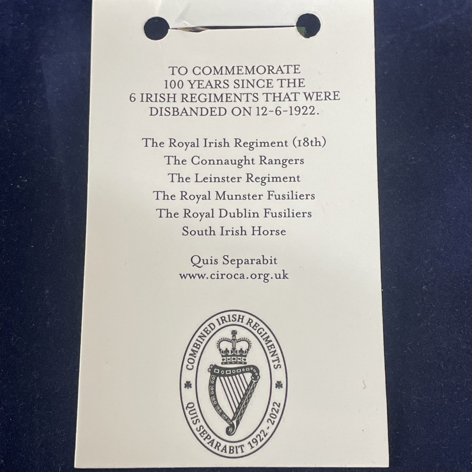 Combined Irish Regiments 100 years Disbanded the Six Irish Regiments ...