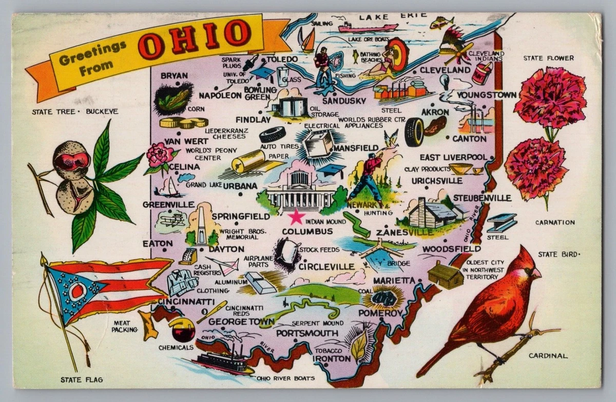 Ohio State Bird Flower And Tree | Best Flower Site