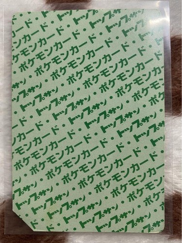 Top Sun Lizard Bulbasaur Camel Promo Rare Pokemon Card Game | eBay