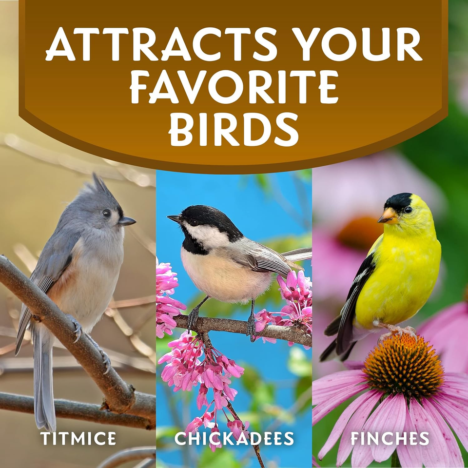 Sunflower Hearts & Chips Wild Bird Food, No Mess Sunflower Seeds for ...
