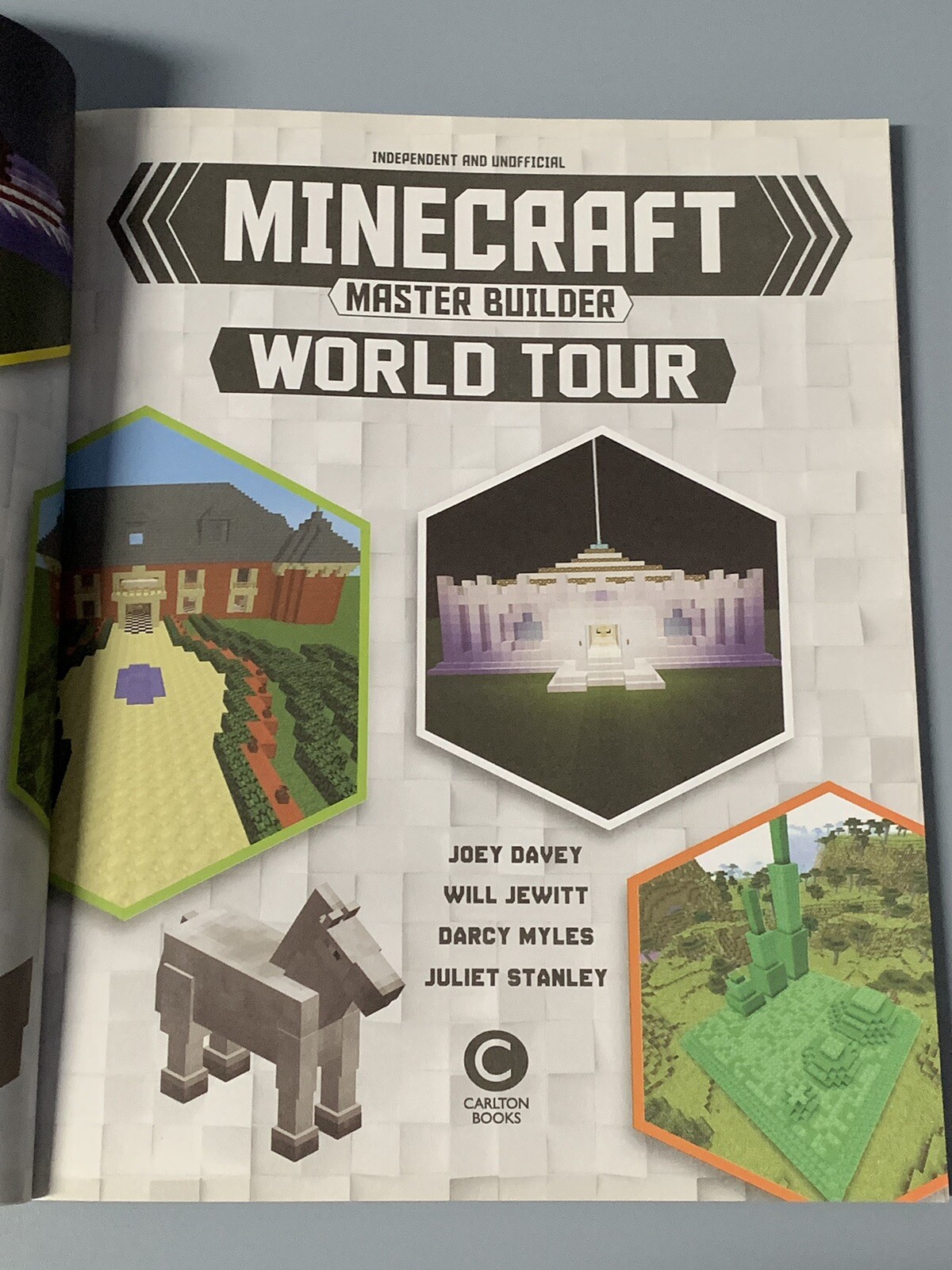 Minecraft Master Builder World Tour Book, 2018 | eBay