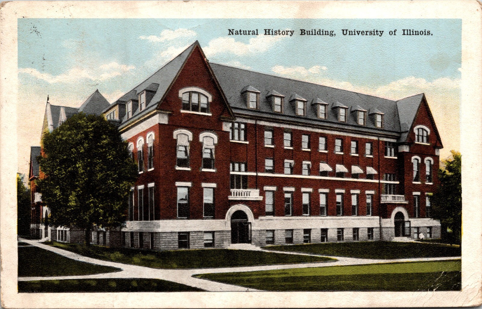 Postcard Champaign Natural History Building University of Illinois ...