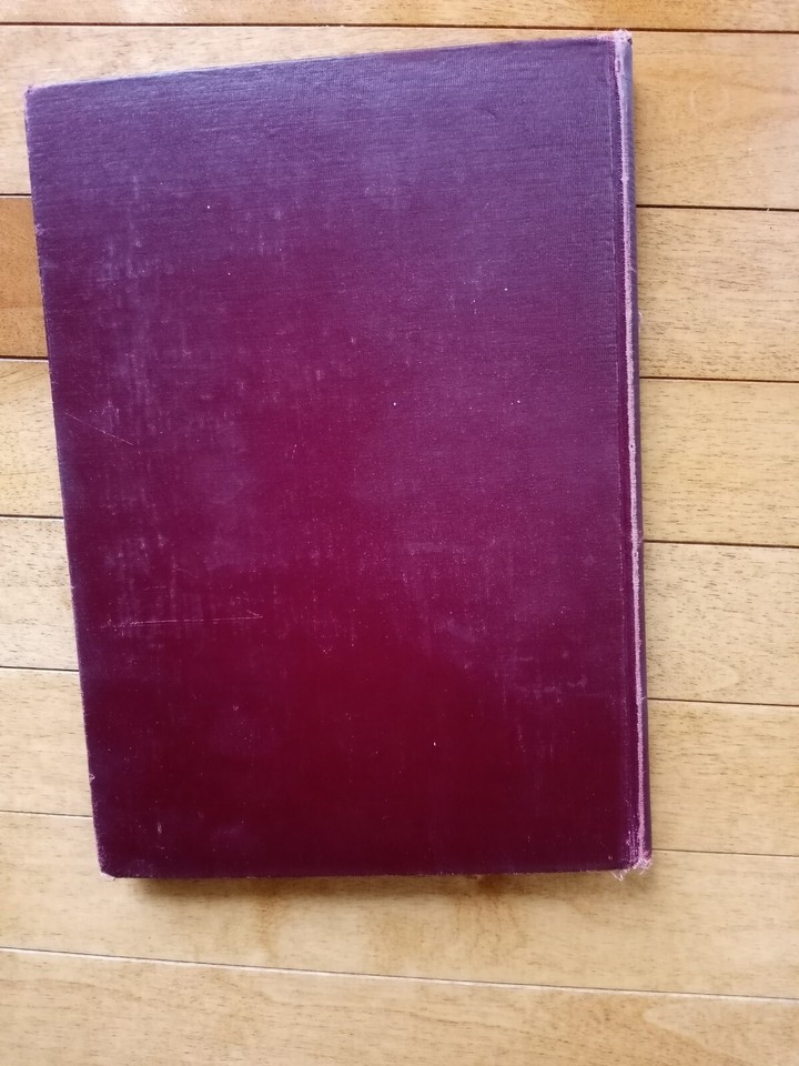 1921 "Maroon" - Elgin High School Yearbook - Elgin, IL | eBay