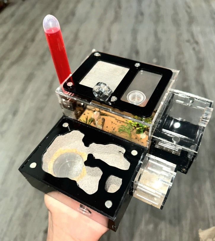 Ant tank/Ant farm - Nest N01 - Full Option | eBay