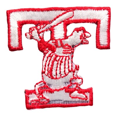 TOLEDO MUD HENS MINOR LEAGUE BASEBALL VINTAGE 2" HAT LOGO TEAM PATCH | eBay