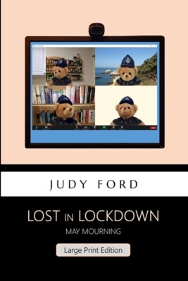 Lost In Lockdown: May Mourning 9781911083788| eBay