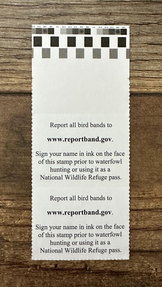 #RW90 2023 - Federal Duck Stamp - MNH **Gutter Color Bar Pair PRESS ...