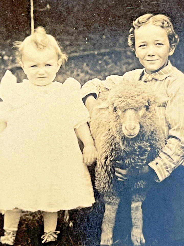 Vintage RPPC FARM CHILDREN WITH SHEEP Postcard CYKO Stamp Box C3 | eBay