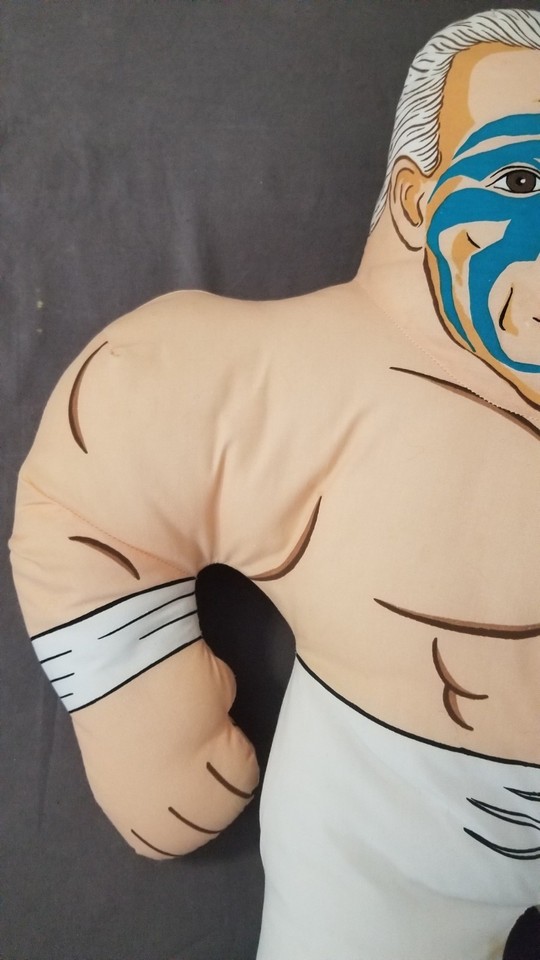 WCW Toymax Toy Max Sting Wrestling Champs Vintage 1991 WWF Tonka Buddy ...