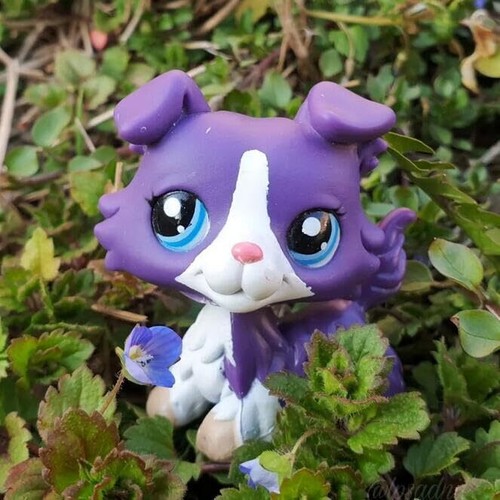 Mini Pet Shop LPS Pet Collie dog #1676 Who Love LPS Great Gifts Rare | eBay