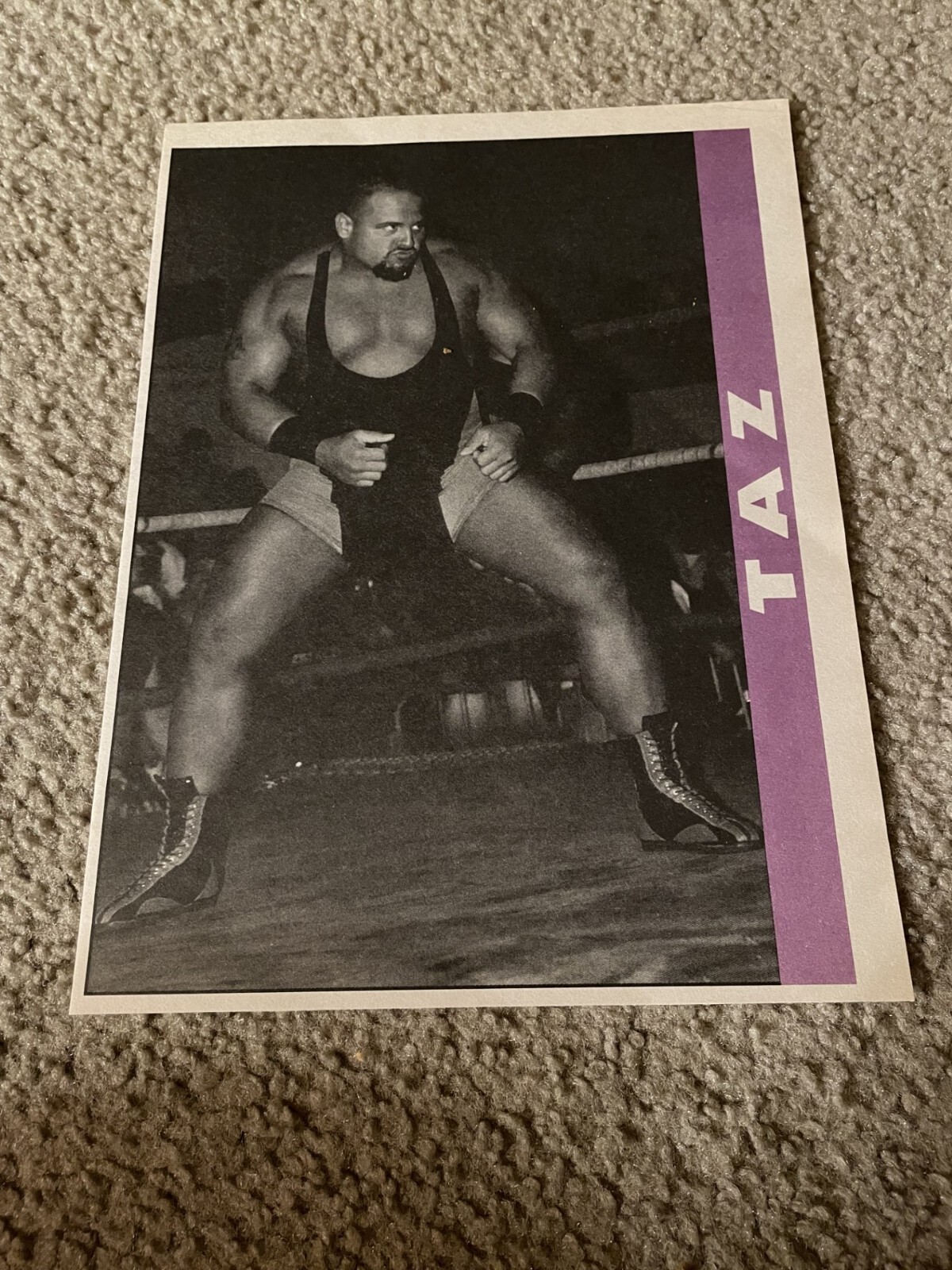 Vintage TAZ TAZZ ECW Wrestling Pinup Photo Magazine Clipping 1995 1990s ...