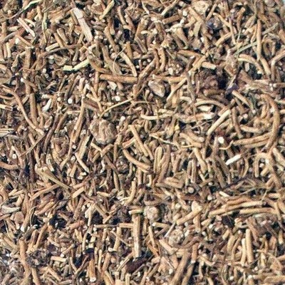 COWSLIP ROOT - Primula veris L - Tea Herb EU SELLER | eBay