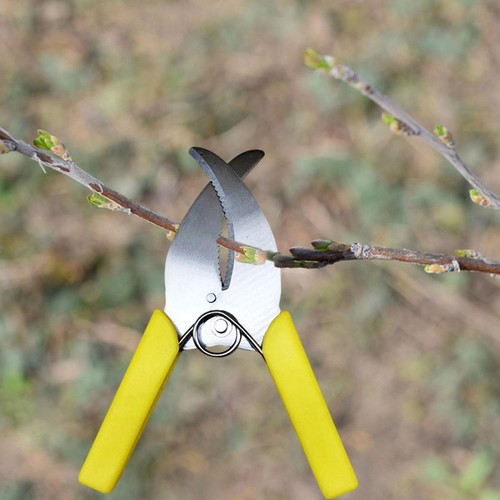 Ring Barking Cutter Scissor Hand Grafting Tool for Orchard Garden Fruit ...
